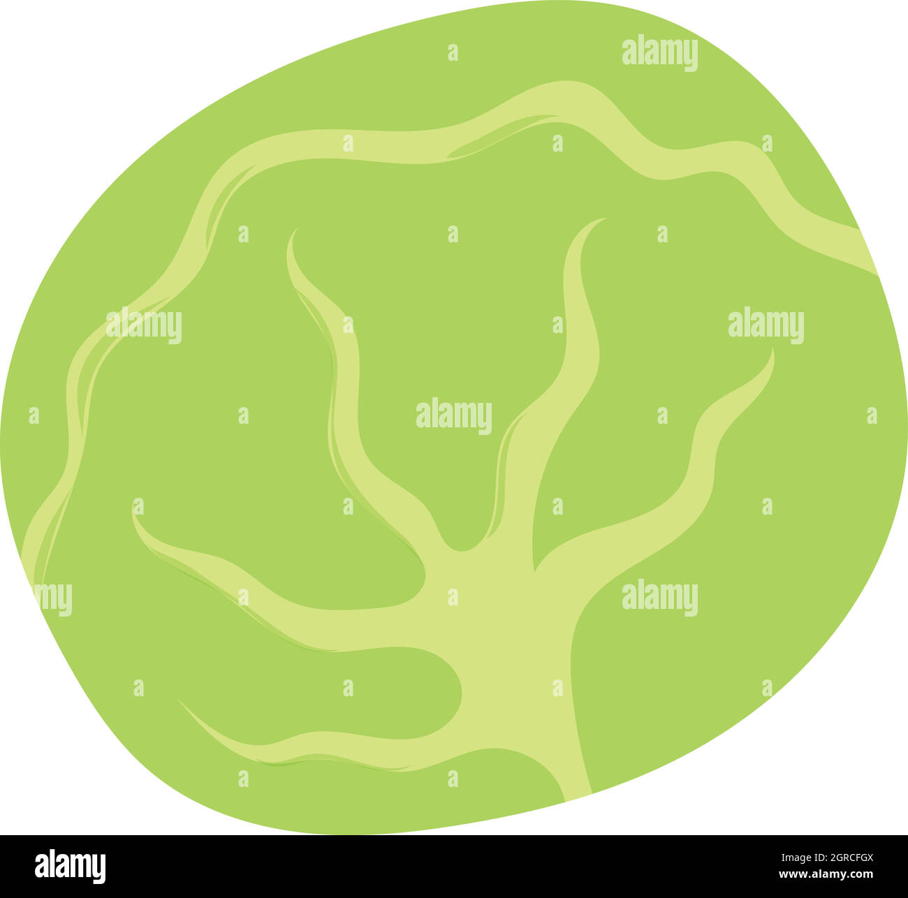 Cabbage icon, cartoon style Stock Vector Image & Art - Alamy