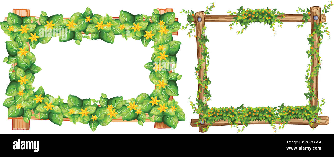 Two frames design with leaves Stock Vector Image & Art - Alamy