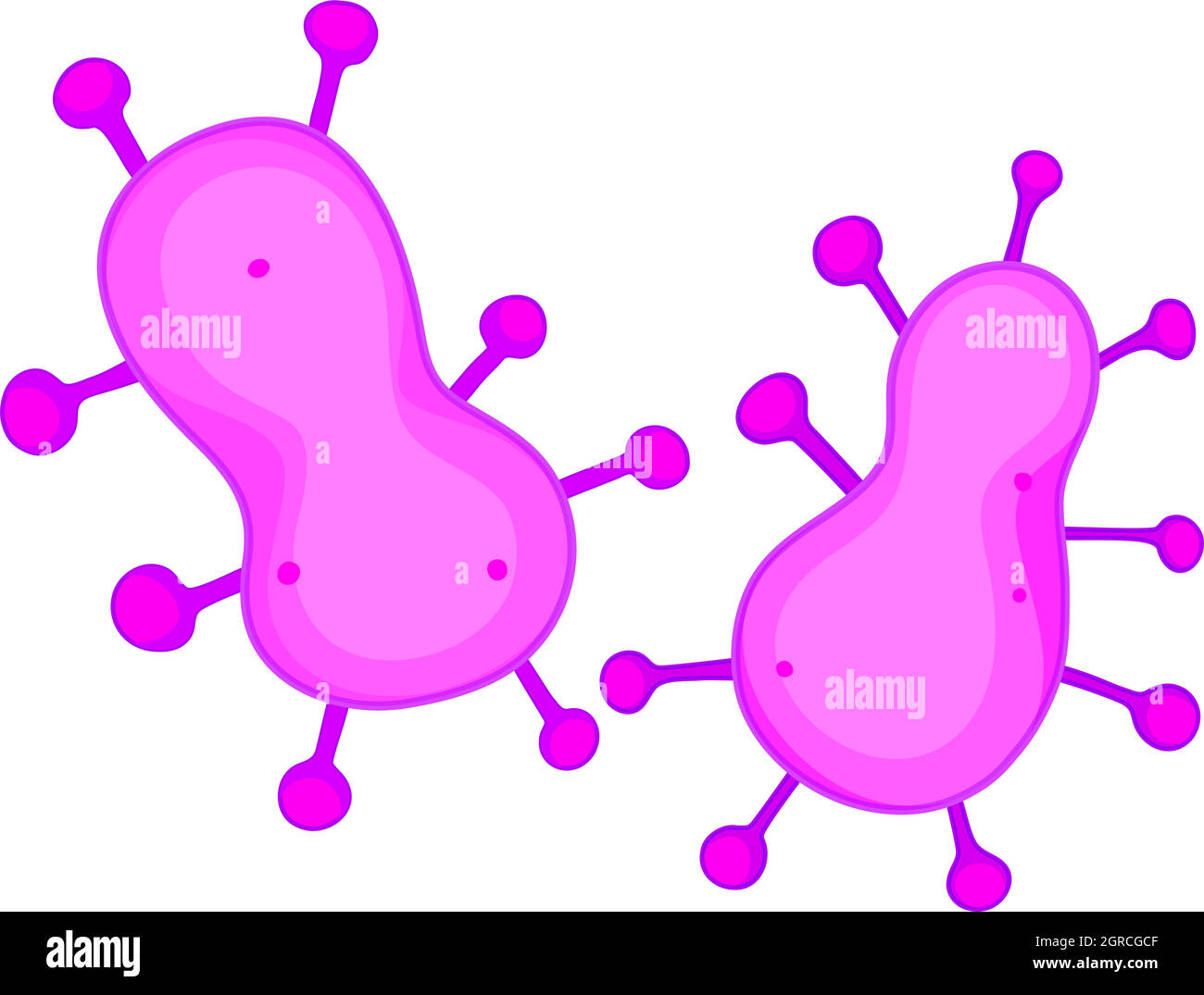 Bacteria in round shape Stock Vector Image & Art - Alamy