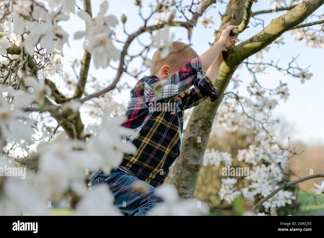Boy jumping from tree hi-res stock photography and images - Alamy