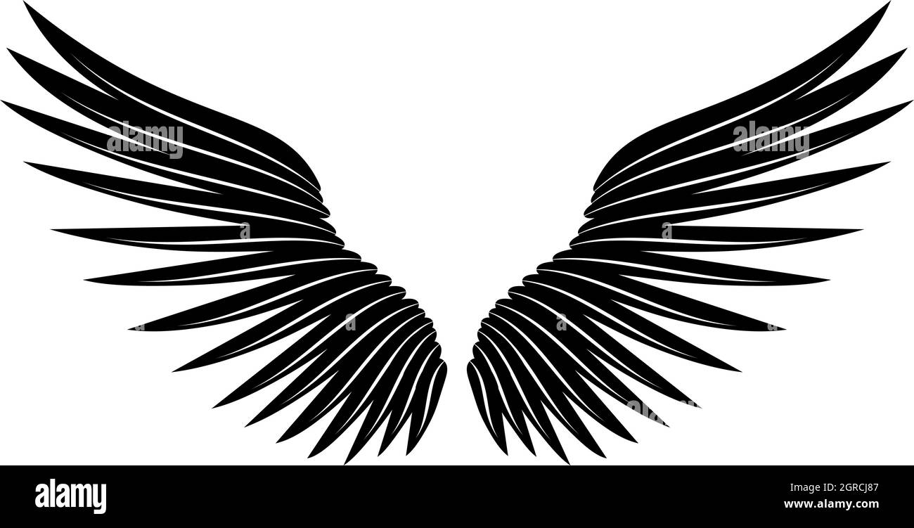 Two majestic wings Black and White Stock Photos & Images - Alamy