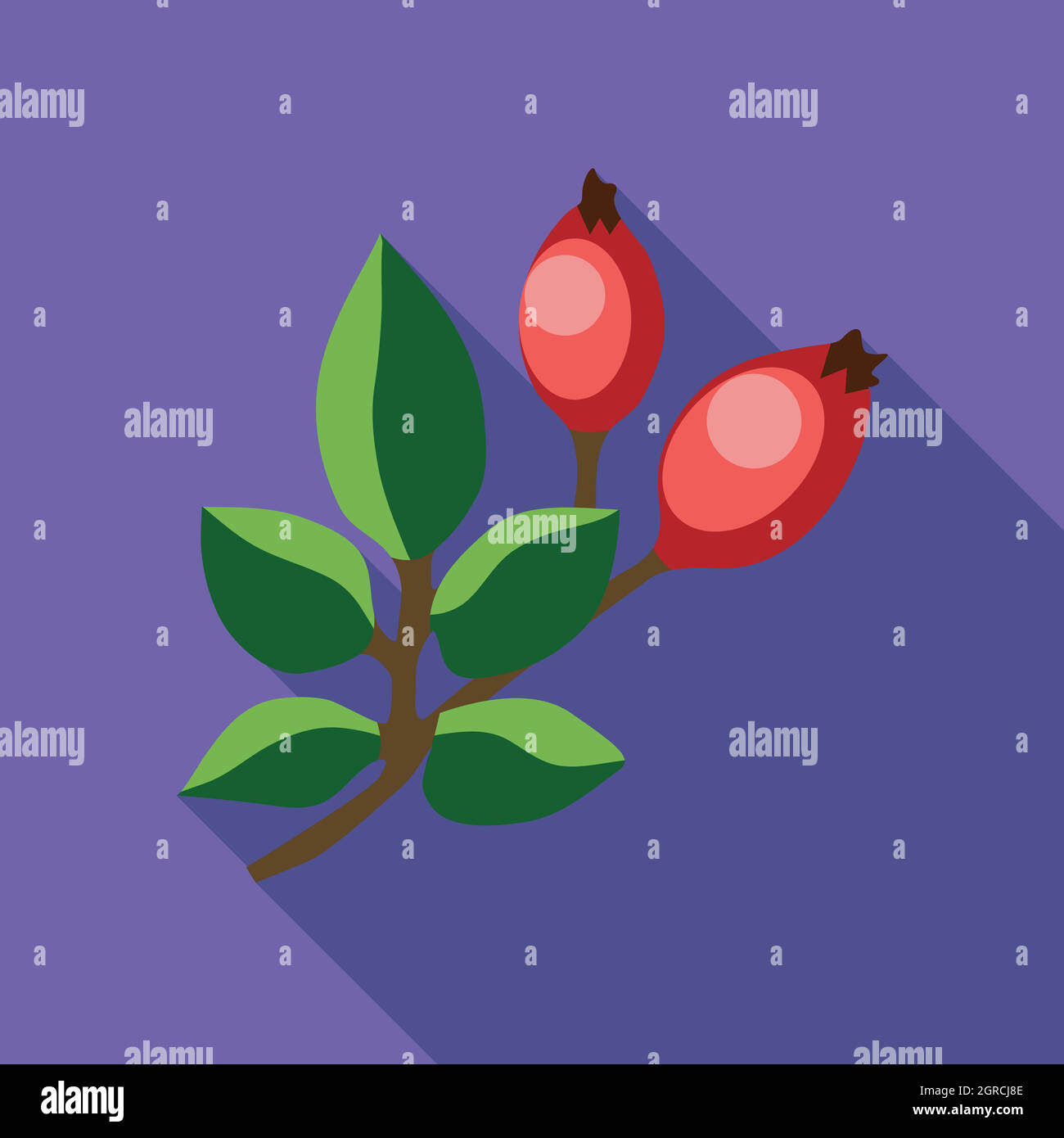 Wild berries shadow Stock Vector Images - Alamy