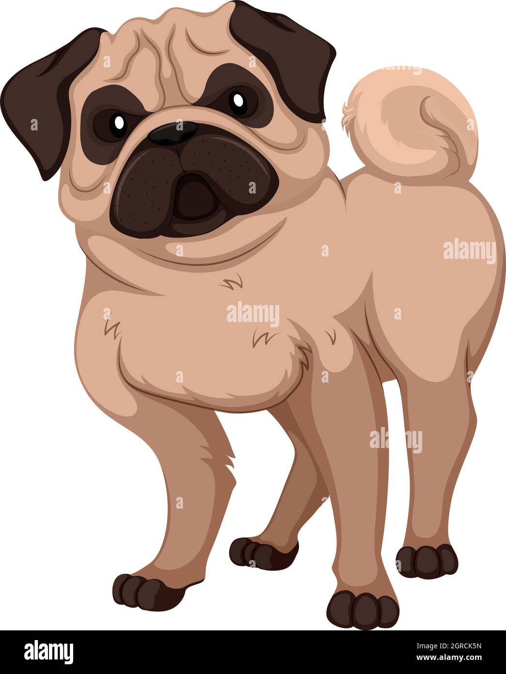 Pug with cute face Stock Vector Image & Art - Alamy