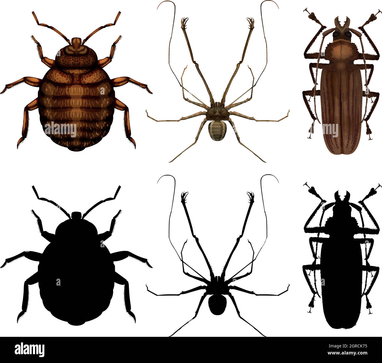 Set of many insect Stock Vector Image & Art - Alamy