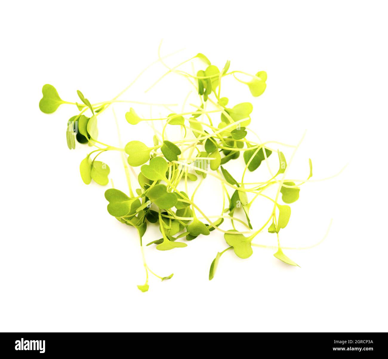 Edible microgreens Cut Out Stock Images & Pictures - Alamy