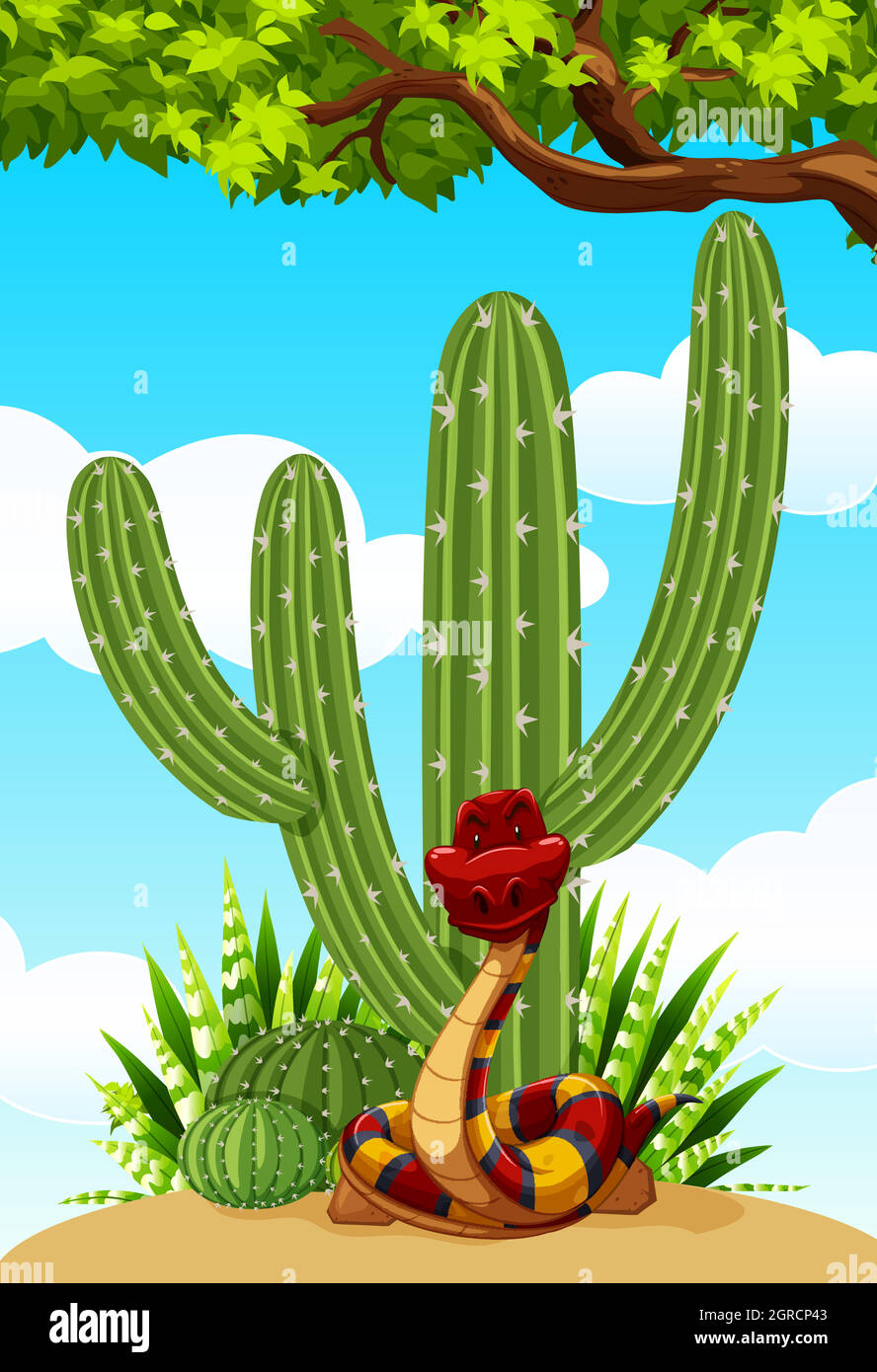 Snake plant illustration Stock Vector Images - Alamy