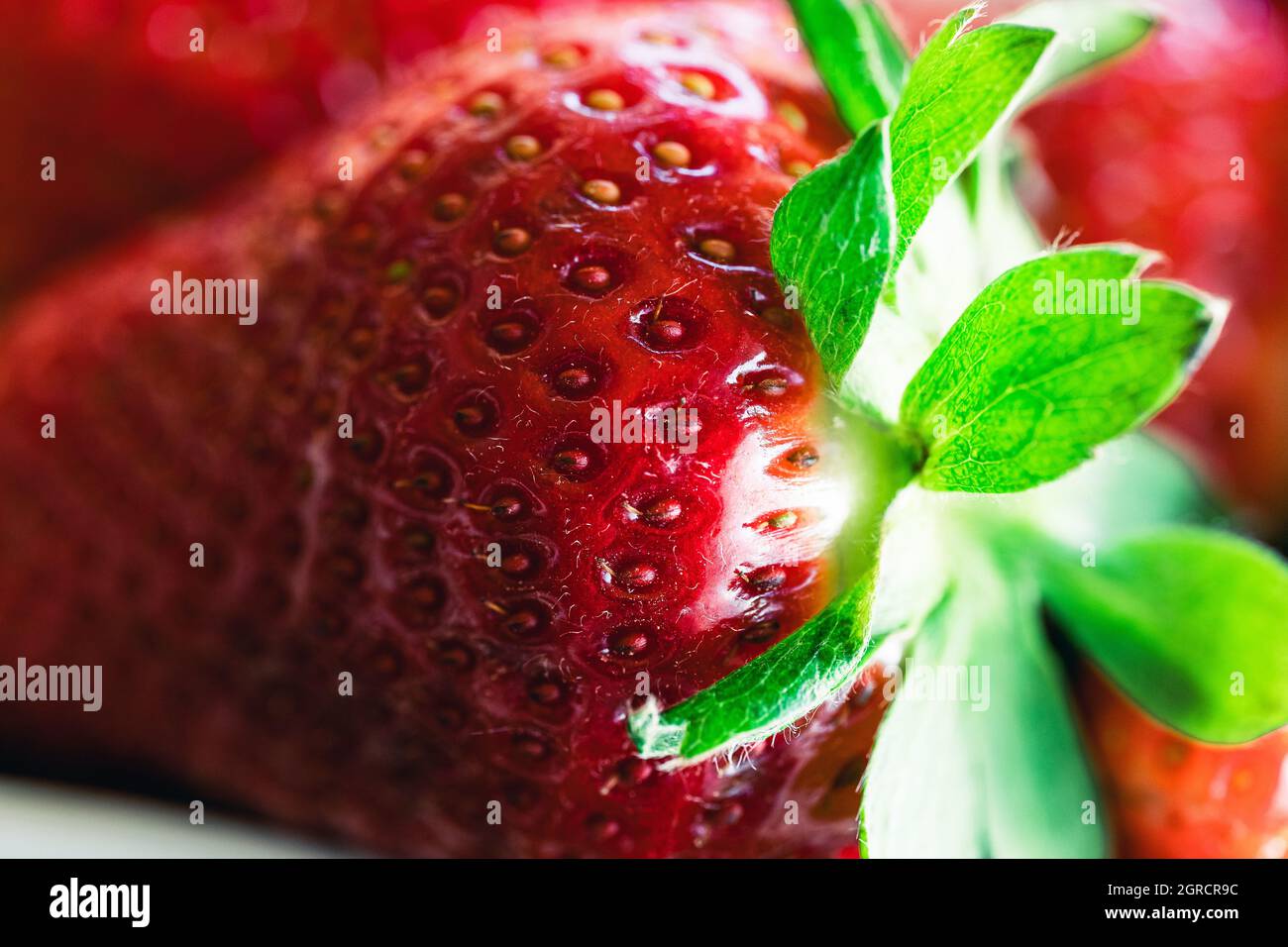 Strawberry florence plant hi-res stock photography and images - Alamy