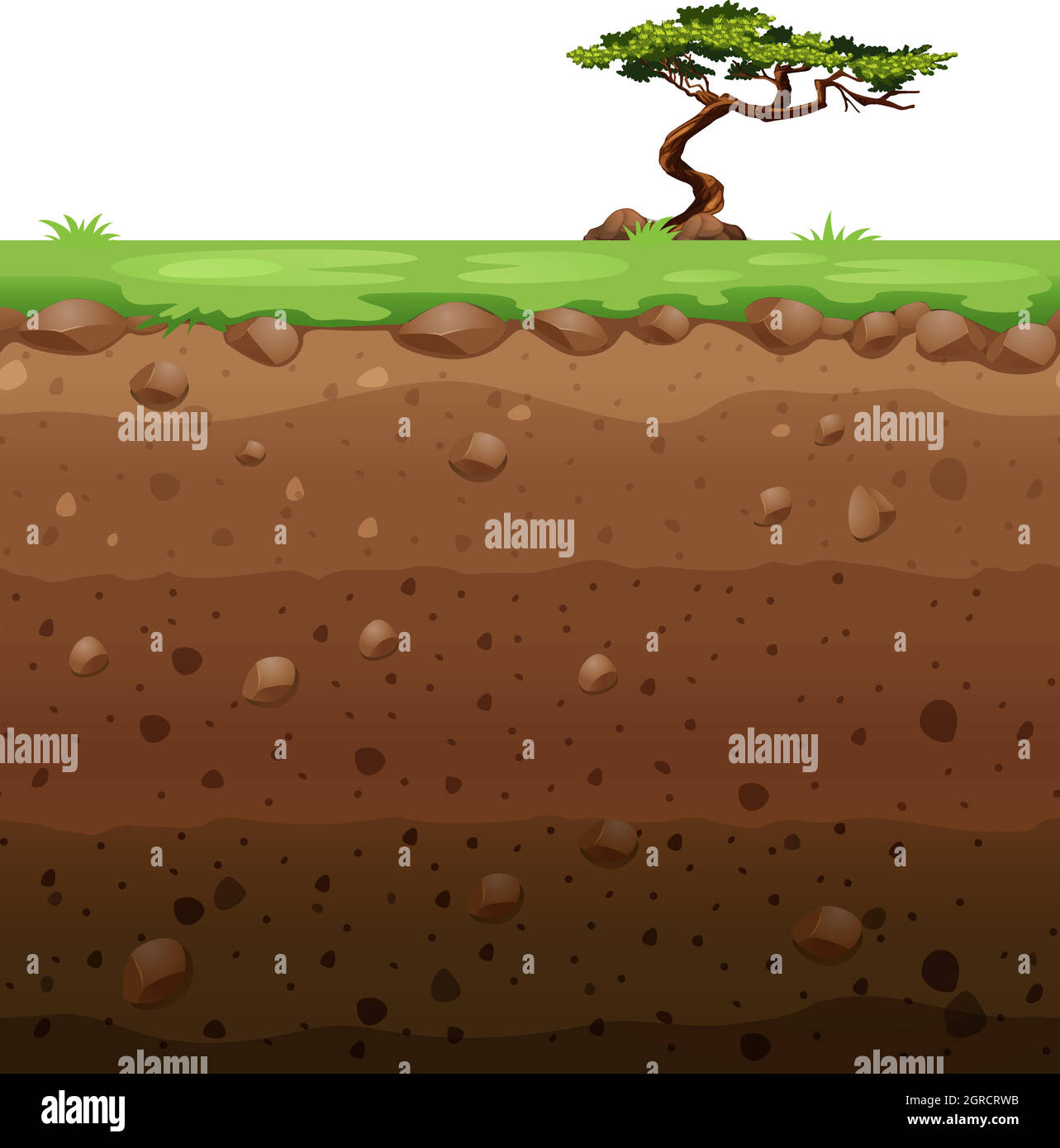 Single tree on surface and underground scene Stock Vector Image & Art ...