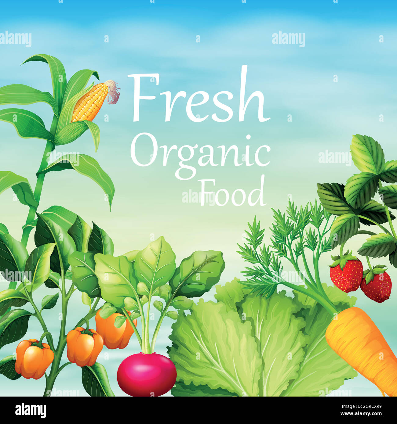Poster design with many vegetables Stock Vector Image & Art - Alamy
