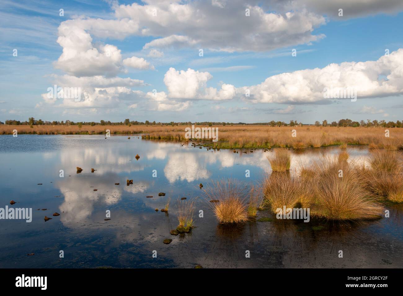 Beautiful peat landscape with the name 'Amsterdamsche Veld' divided ...