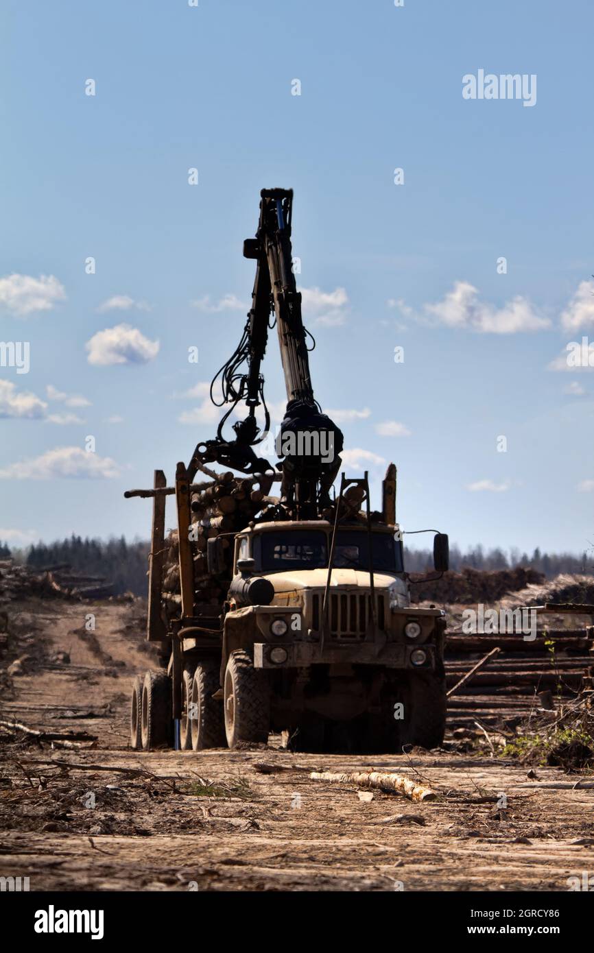 Forest industry. Operations for loading-unloading logging truck at ...