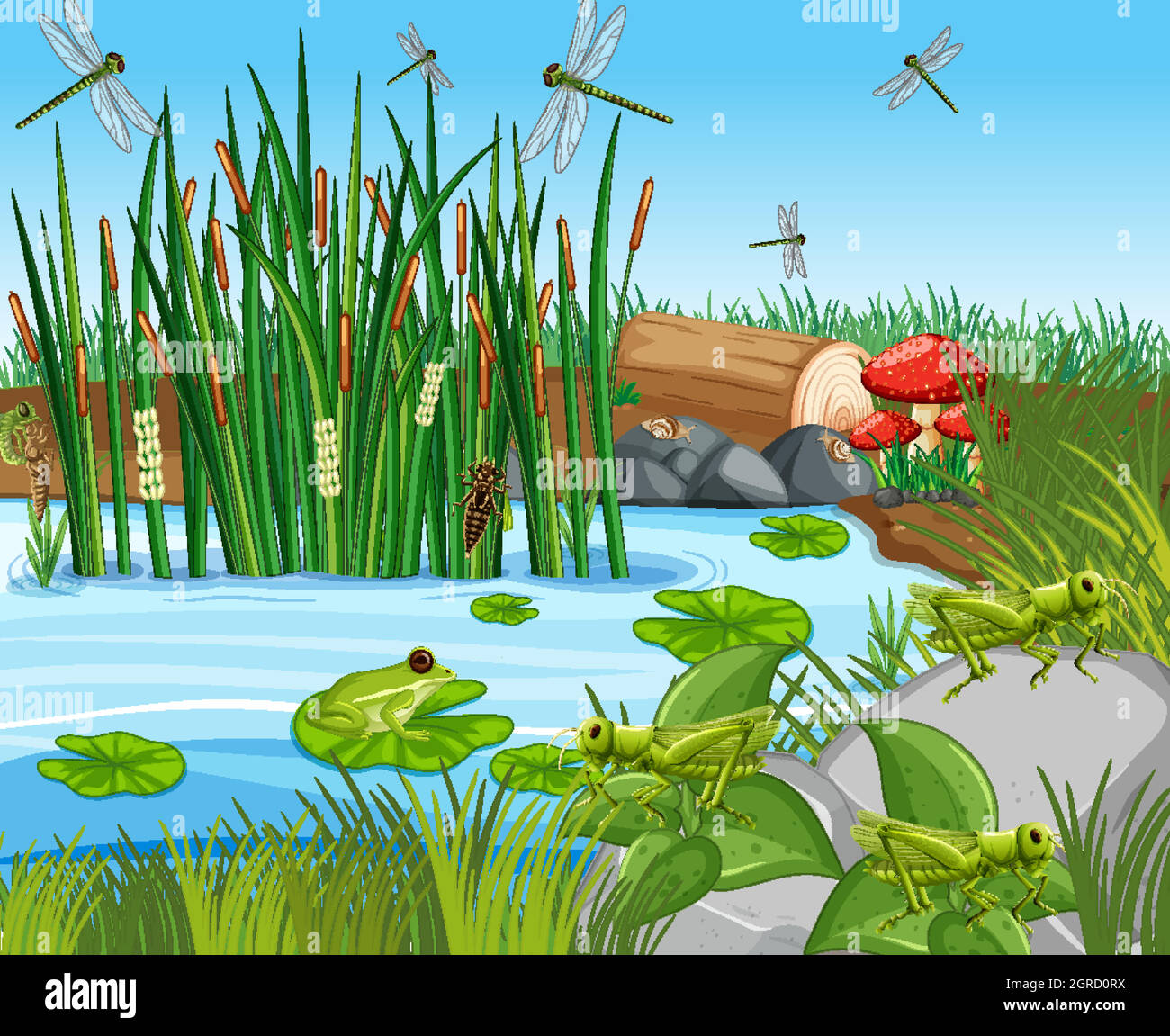 Many green frogs and dragonfly in the pond scene Stock Vector Image ...
