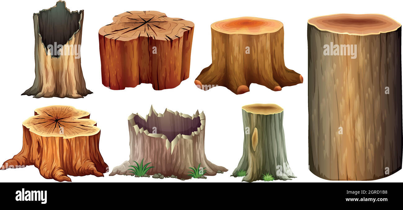 Different type of tree stump Stock Vector Image & Art - Alamy