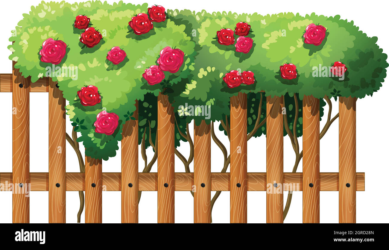 Green flowering plant Stock Vector Images - Alamy