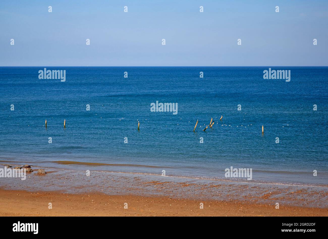 A view of the beach and calm sea with old groyne posts in late ...