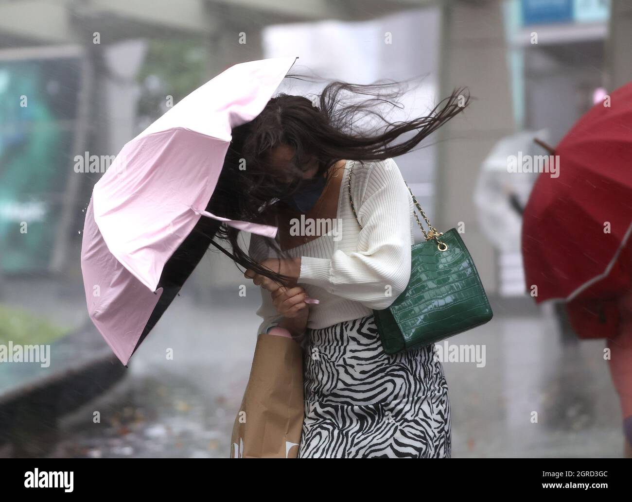 Tokyo, Japan. 1st Oct, 2021. A pedestrian walks against strong wind and ...