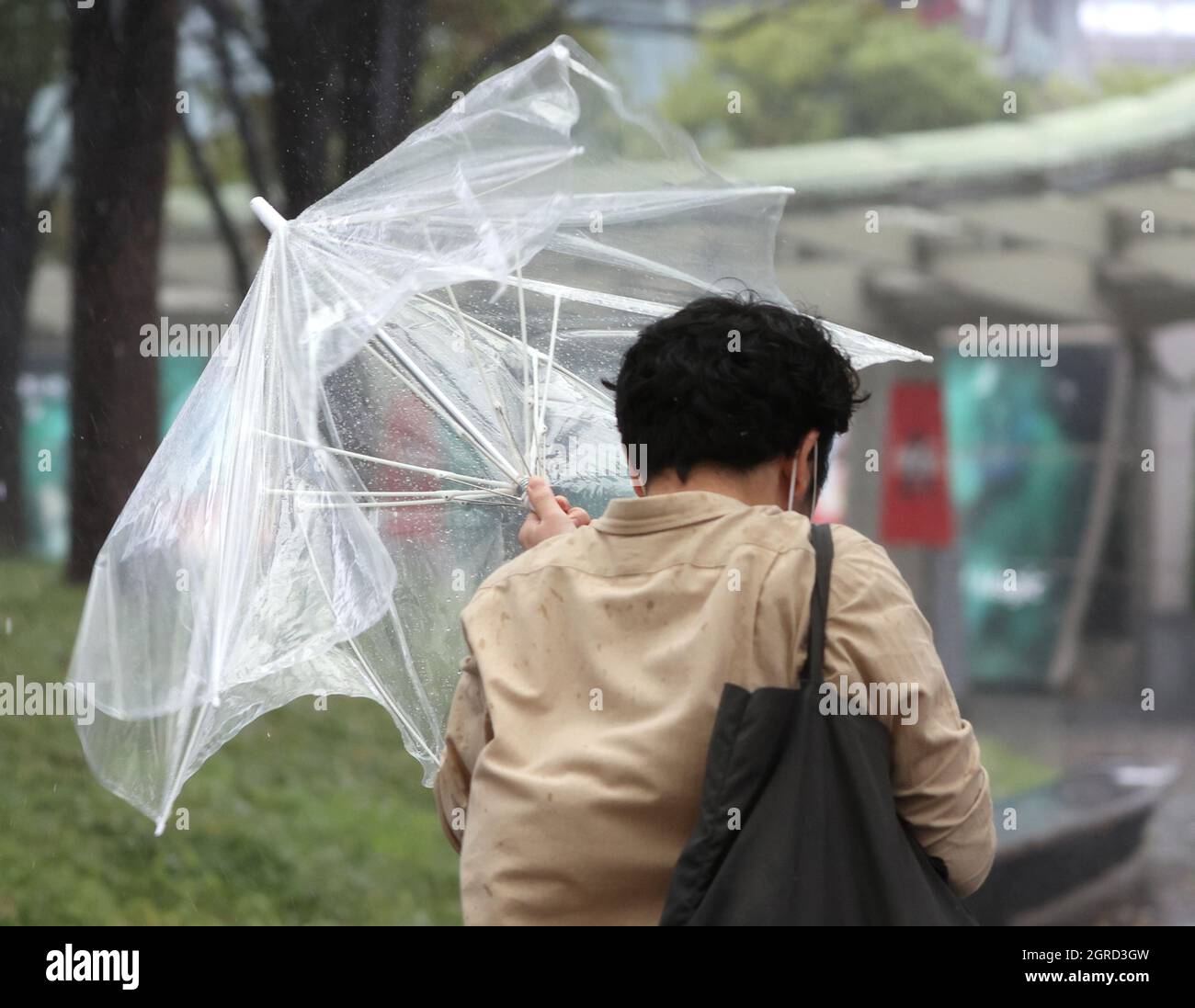 Tokyo, Japan. 1st Oct, 2021. A pedestrian walks against strong wind and ...