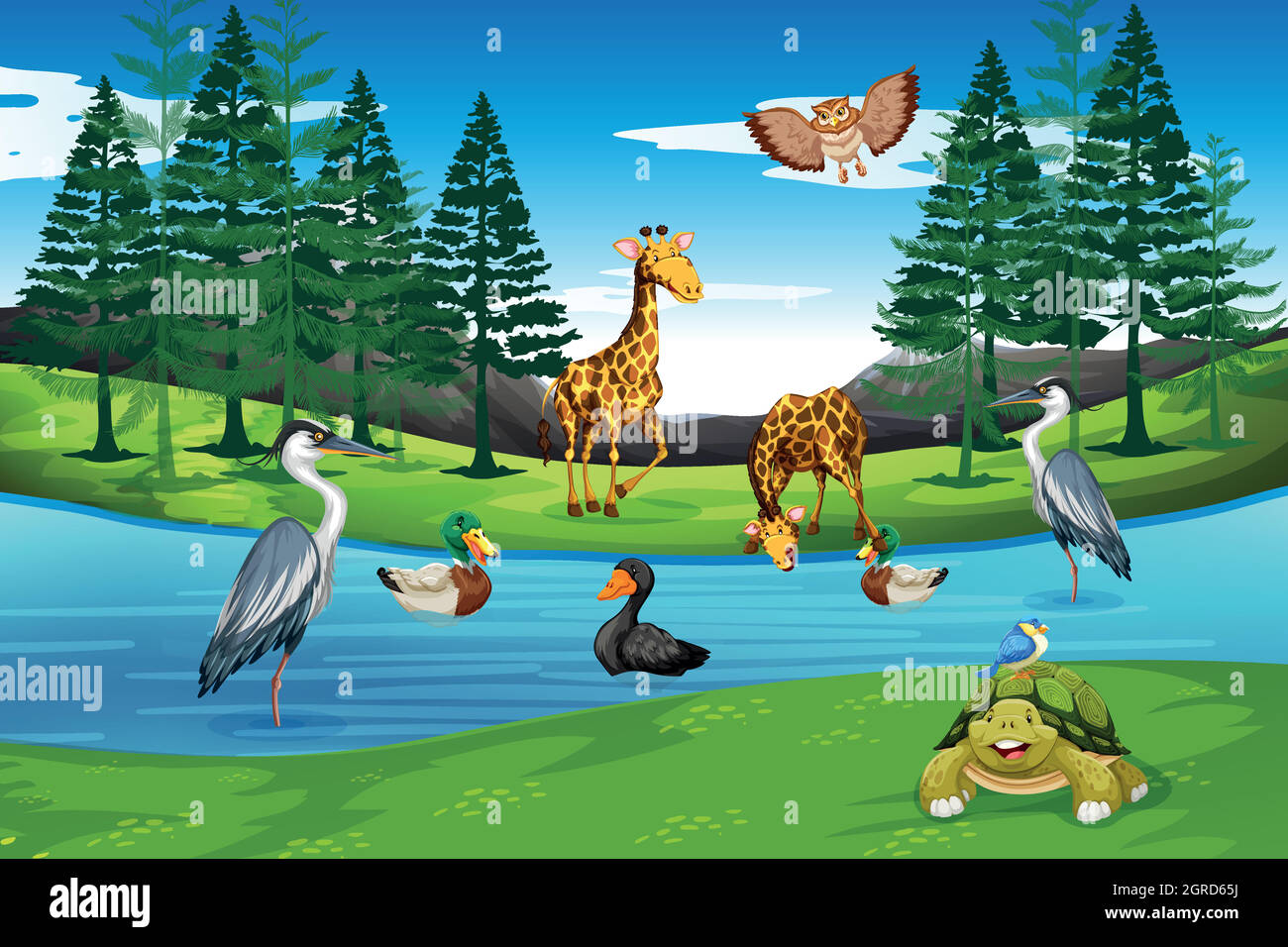 Many animals in nature Stock Vector Image & Art - Alamy