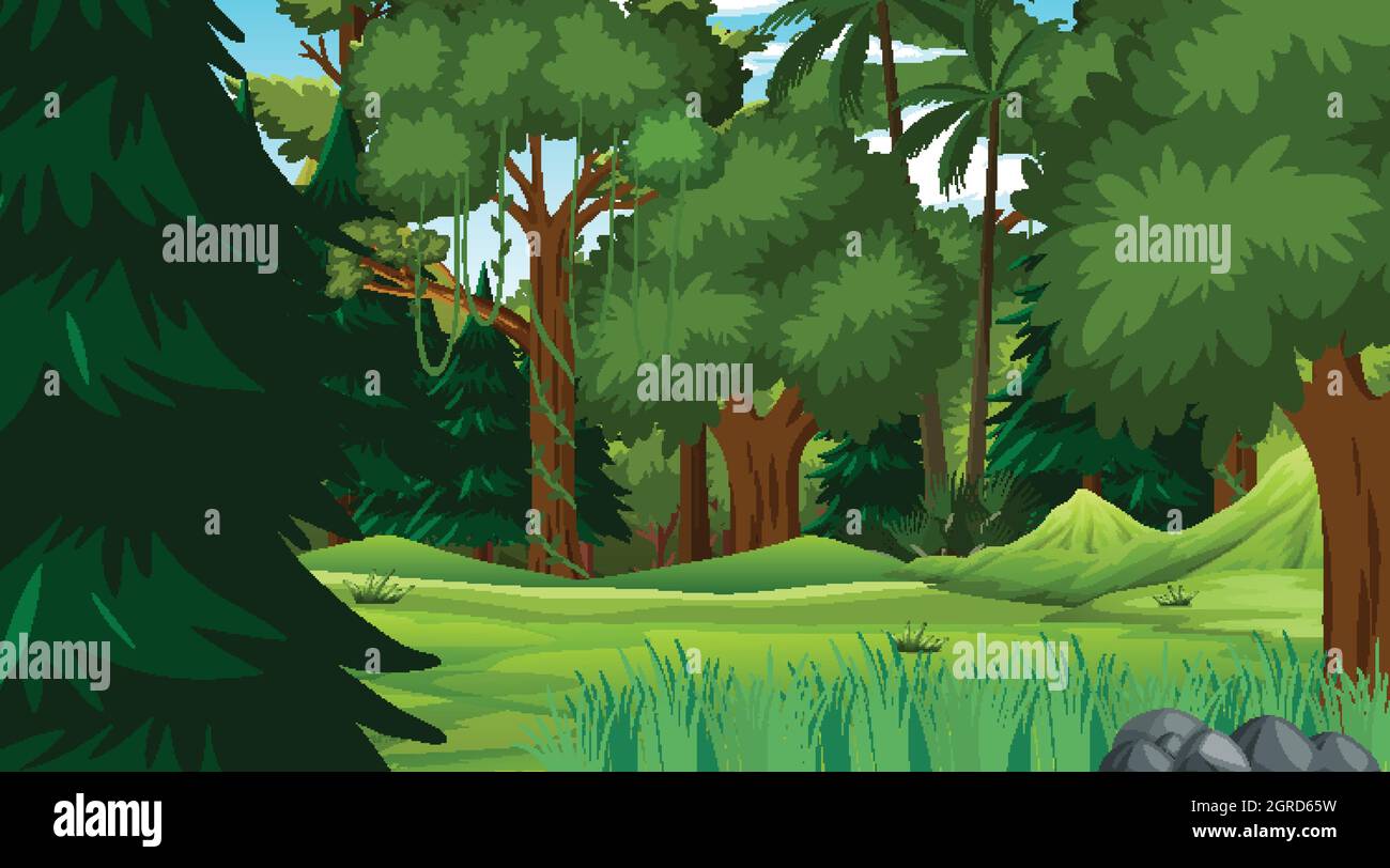 Forest scene with various forest trees illustration Stock Vector Image ...