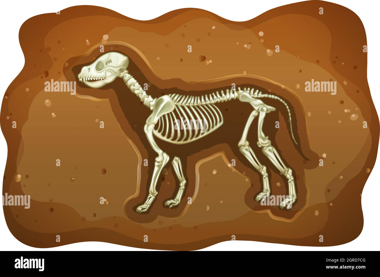 Dead animal body Stock Vector Images - Alamy
