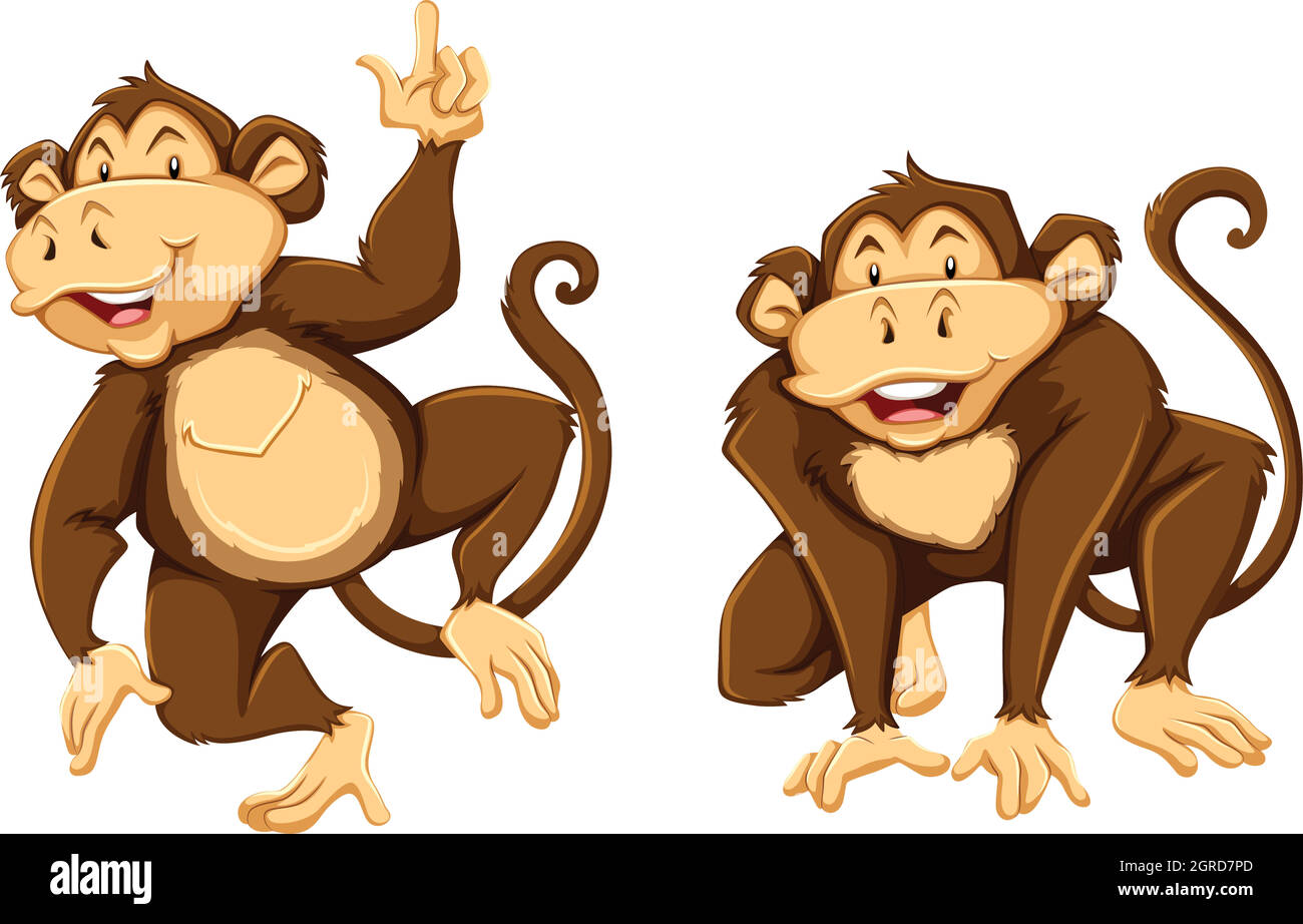 Dancing Cartoon Monkeys