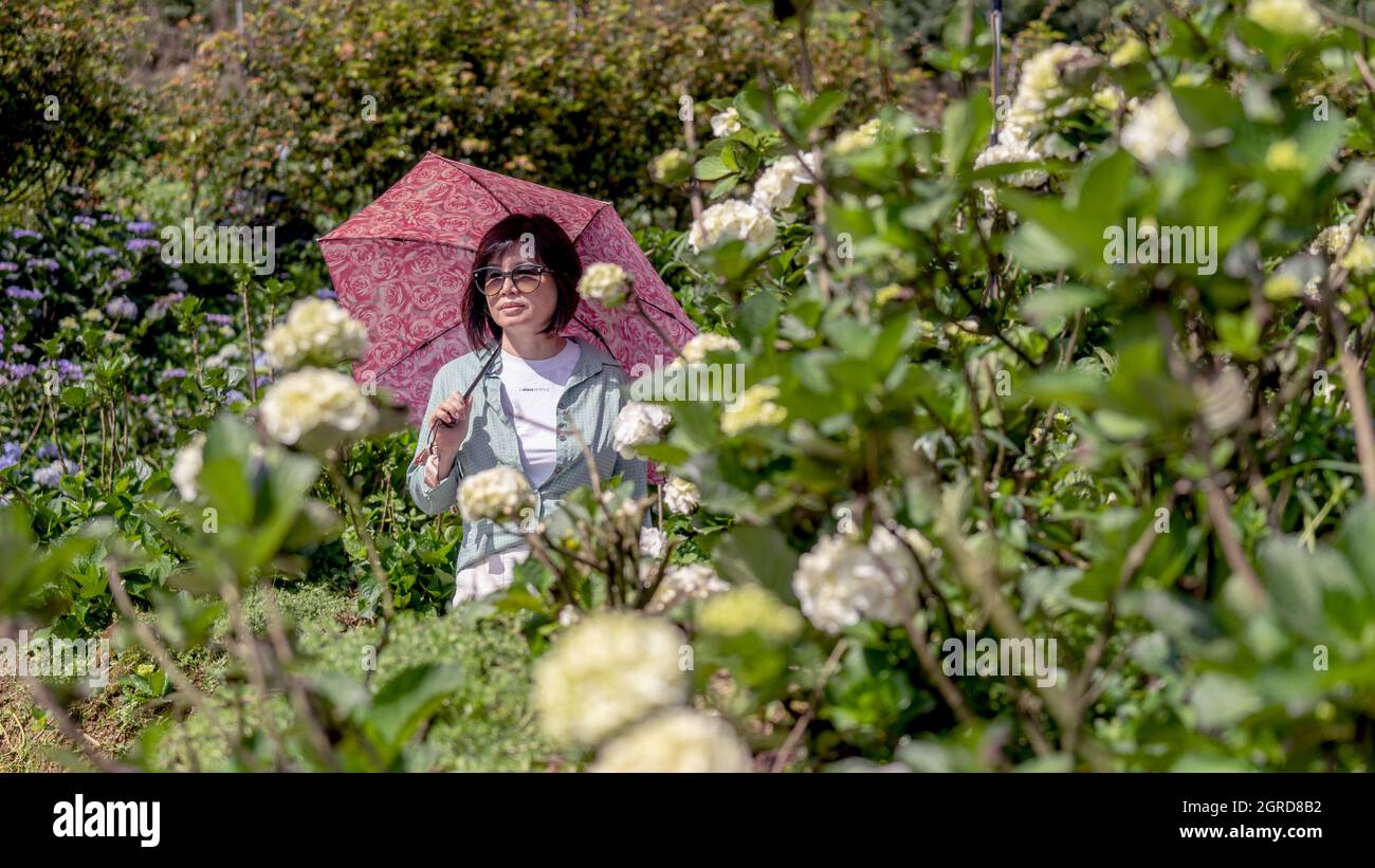 Wanli portrait hi-res stock photography and images - Alamy