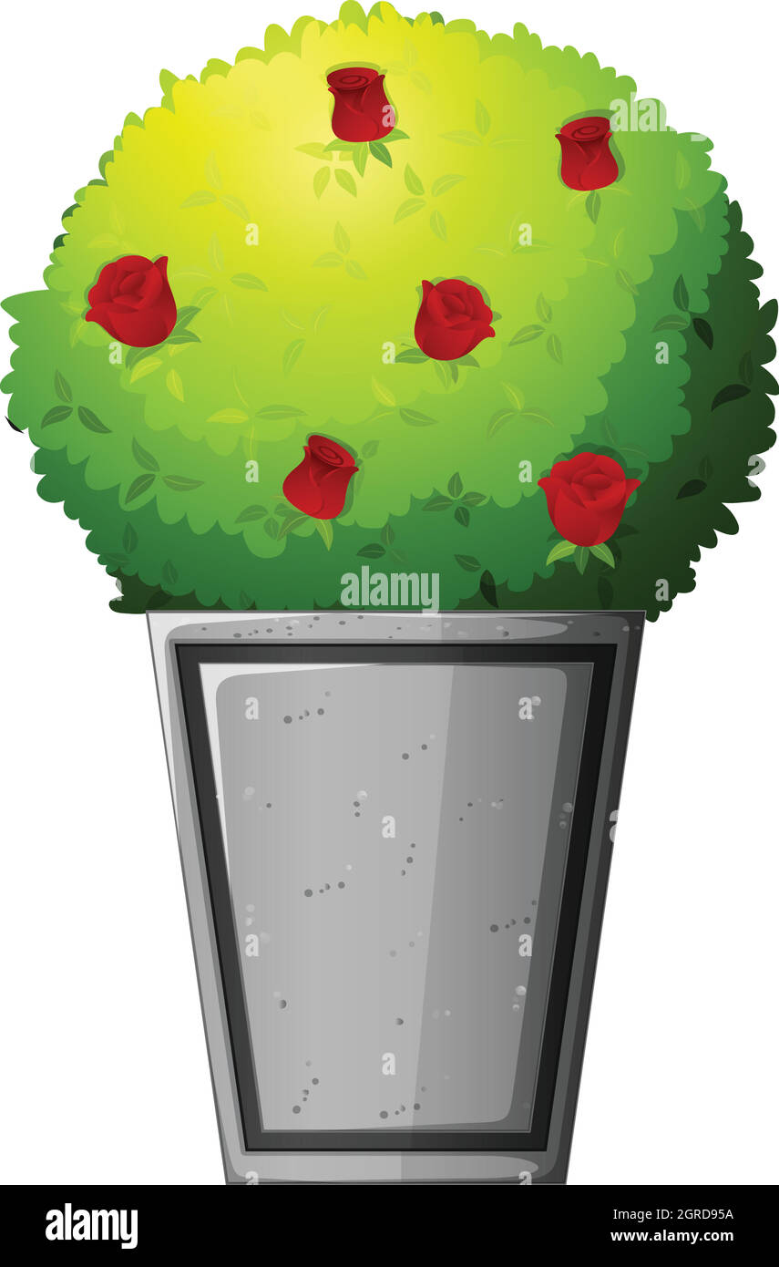 A red plant Stock Vector Images - Alamy