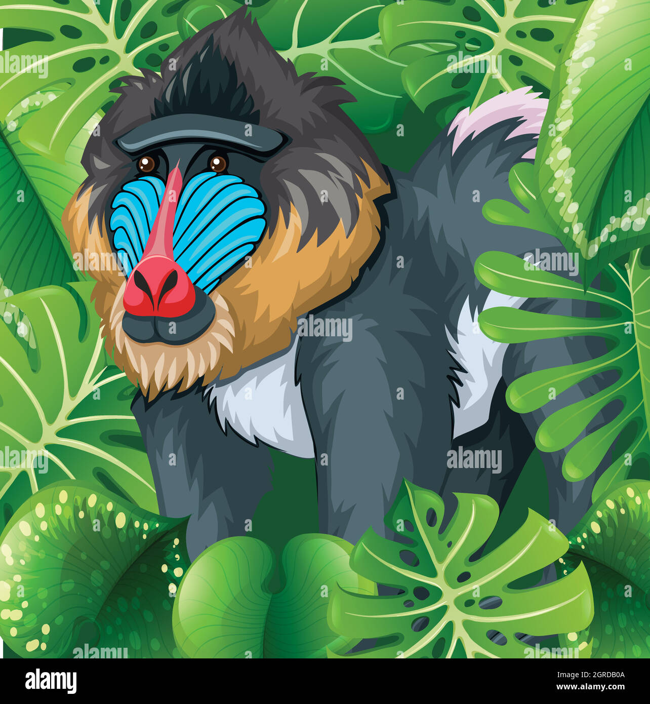 Drawing illustration art baboon hi-res stock photography and images - Alamy