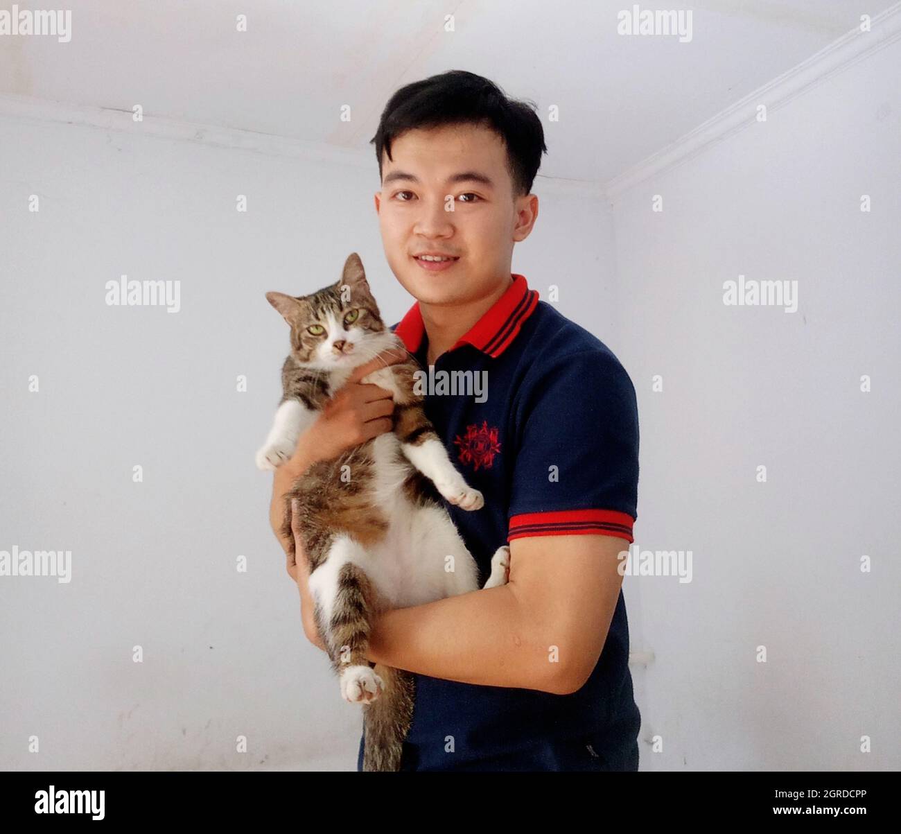 Boy cat lap hi-res stock photography and images - Alamy