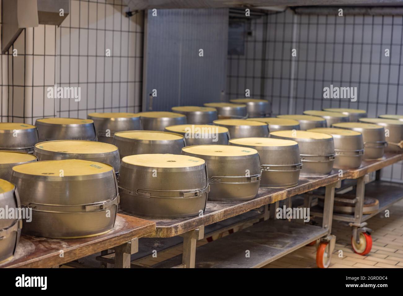 Interior room and cheese plant hi-res stock photography and images - Alamy