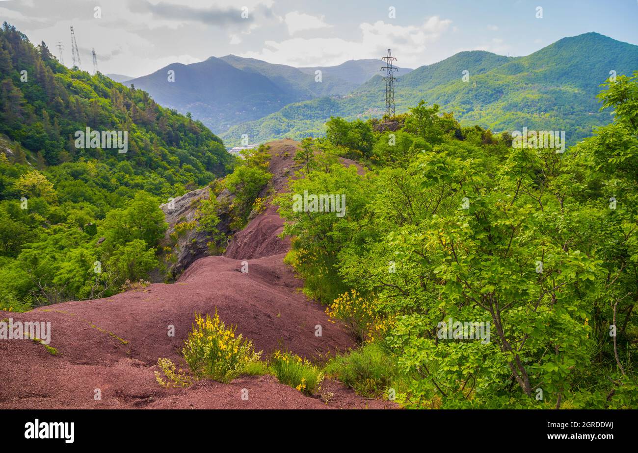 View of the "Terre Rosse" (Red Lands) a small area made up of rocks and ...