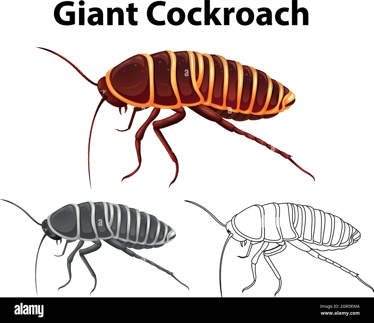 Giant cockroach Stock Vector Images - Alamy