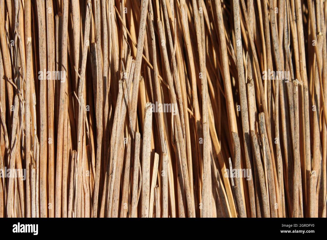 Straw dry hi-res stock photography and images - Alamy