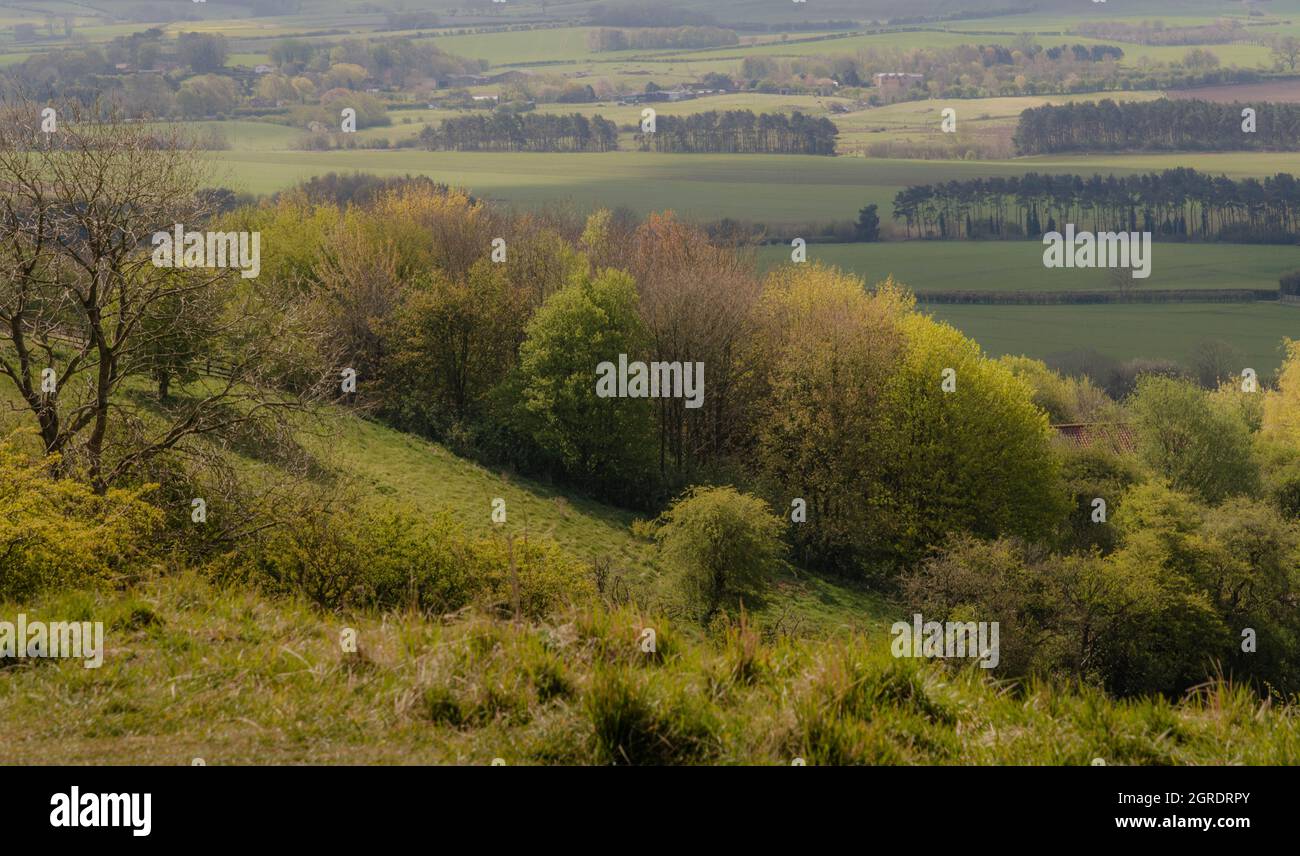 Rural landscape on spring hi-res stock photography and images - Alamy