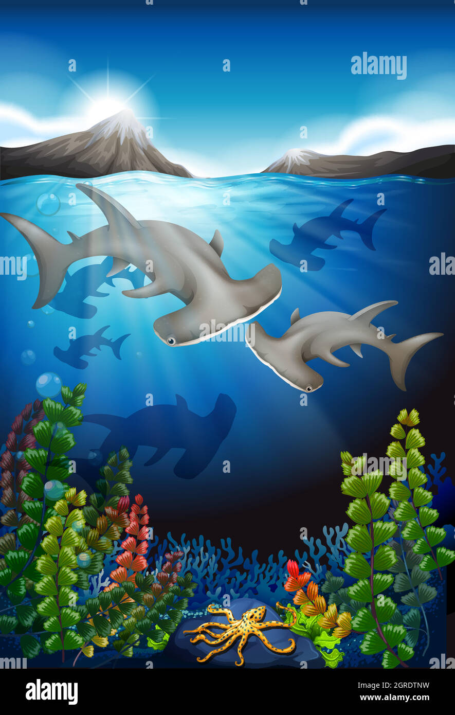 Whale shark under sea Stock Vector Images - Alamy
