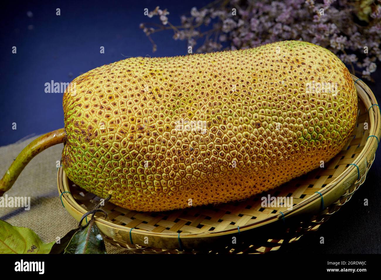Organic Ripe Chempedak Fruit Isolated On Bamboo Basket Stock Photo - Alamy