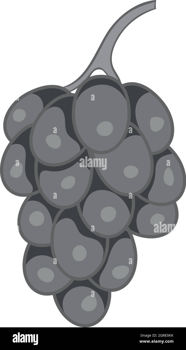 Grapes black grapes Stock Vector Images - Alamy