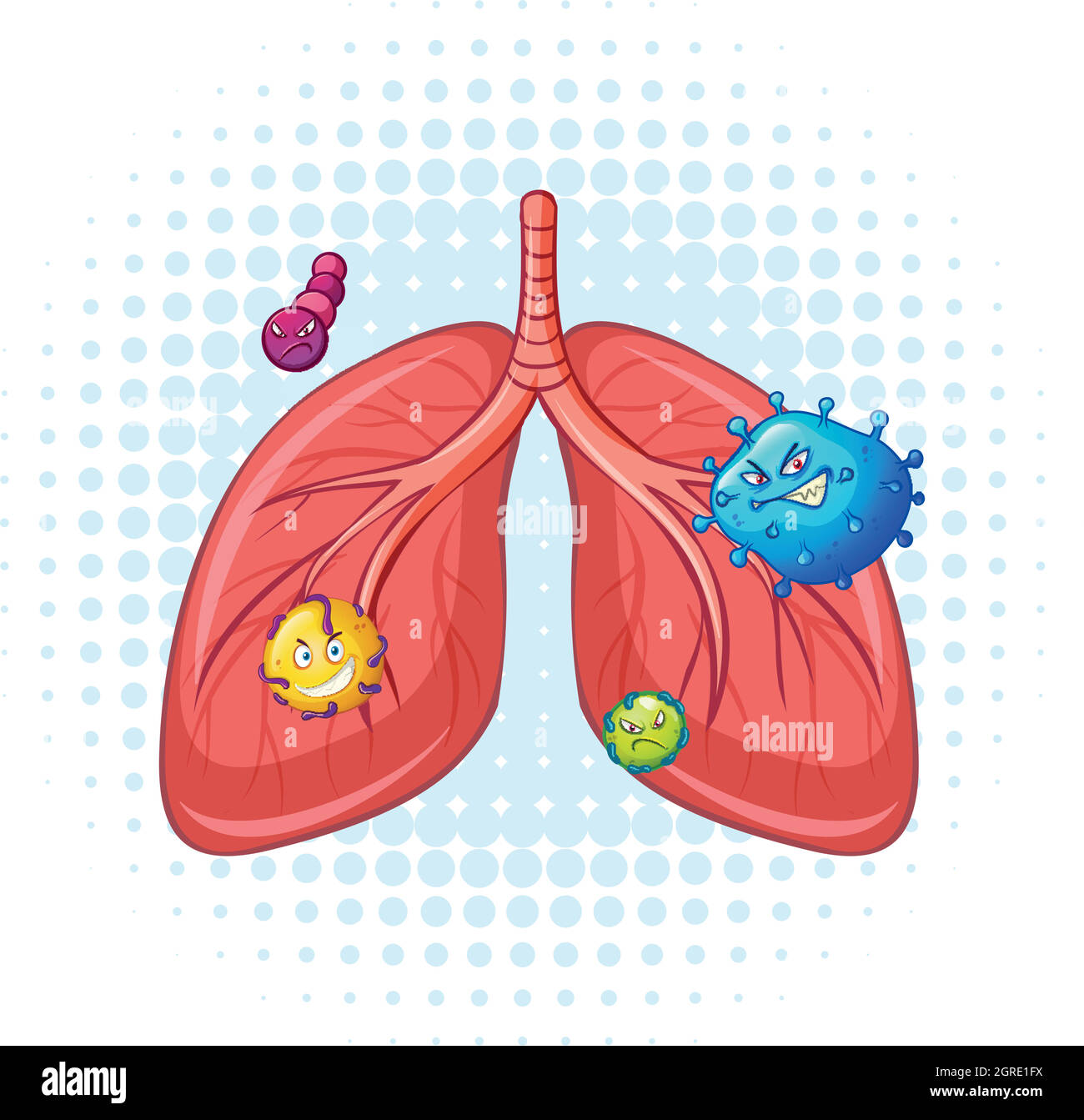 Human lungs diagram hi-res stock photography and images - Alamy