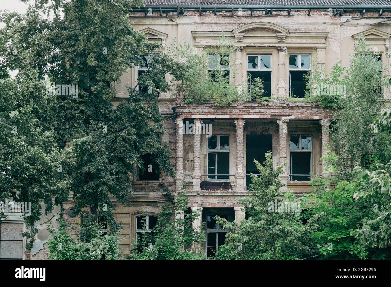 Ivy growing on abandoned building hi-res stock photography and images ...