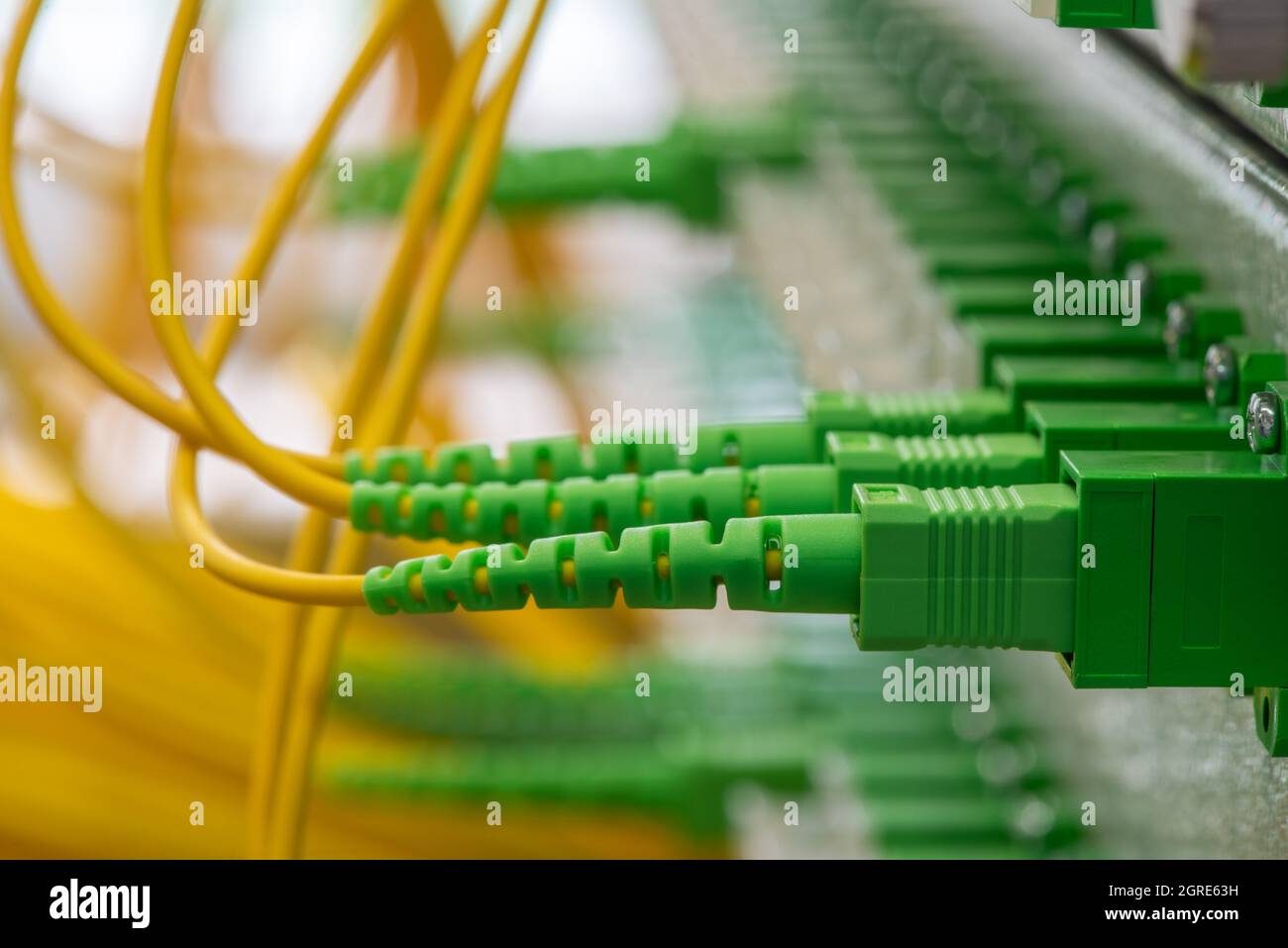 Optical distribution frame with fiber patch cord in passive network ...