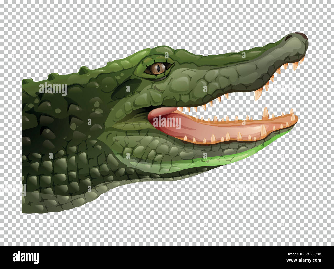 Alligator Head Vector