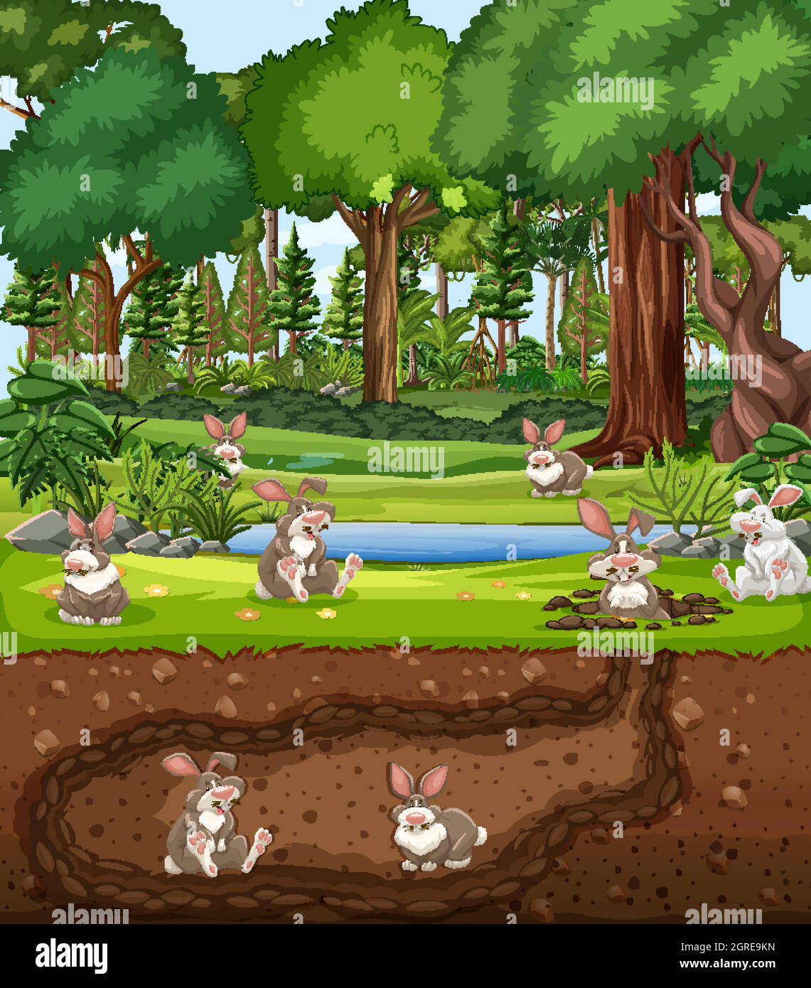 Underground animal burrow with rabbit family Stock Vector Image & Art - Alamy