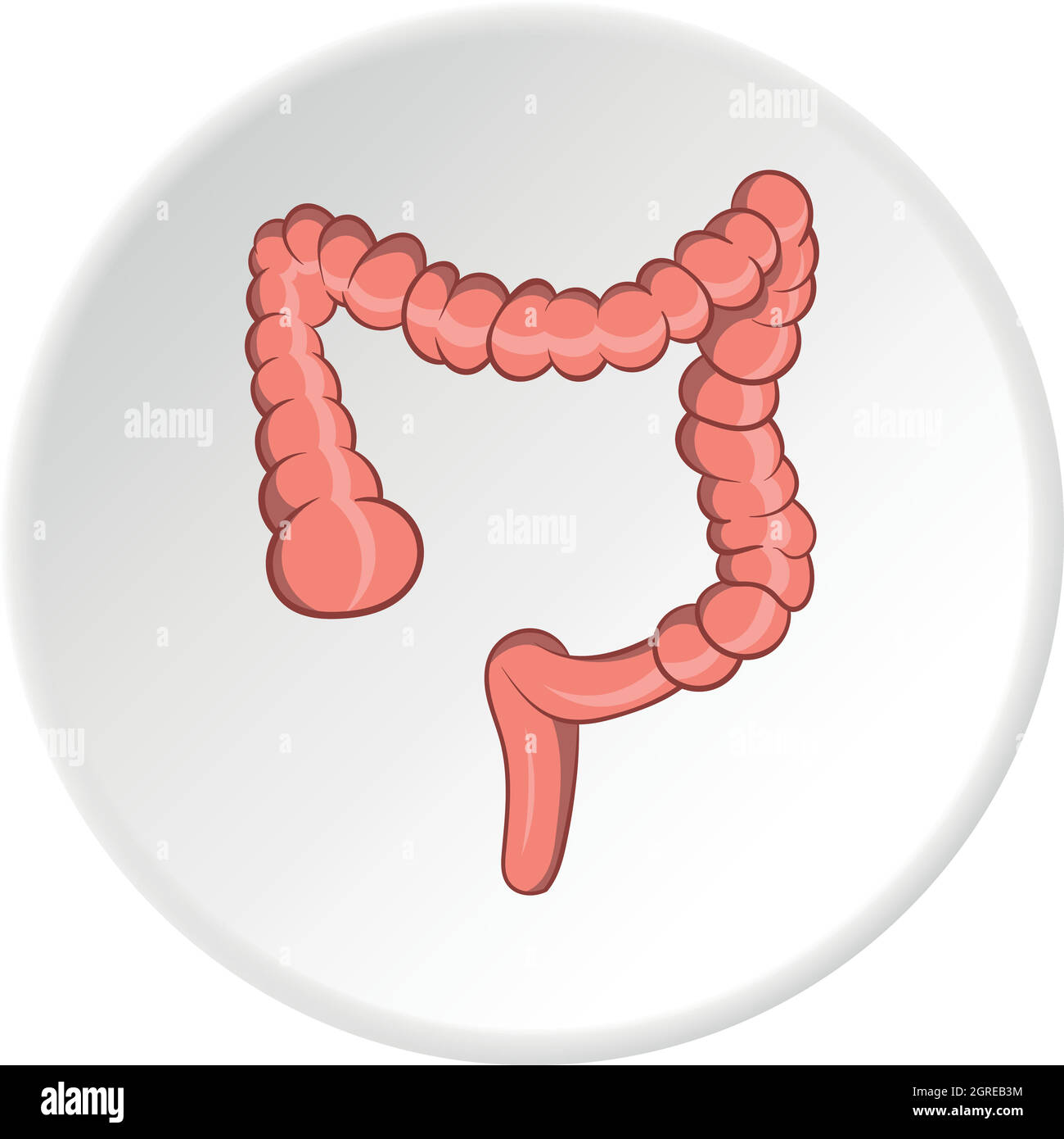 Human intestine icon cartoon hi-res stock photography and images - Alamy