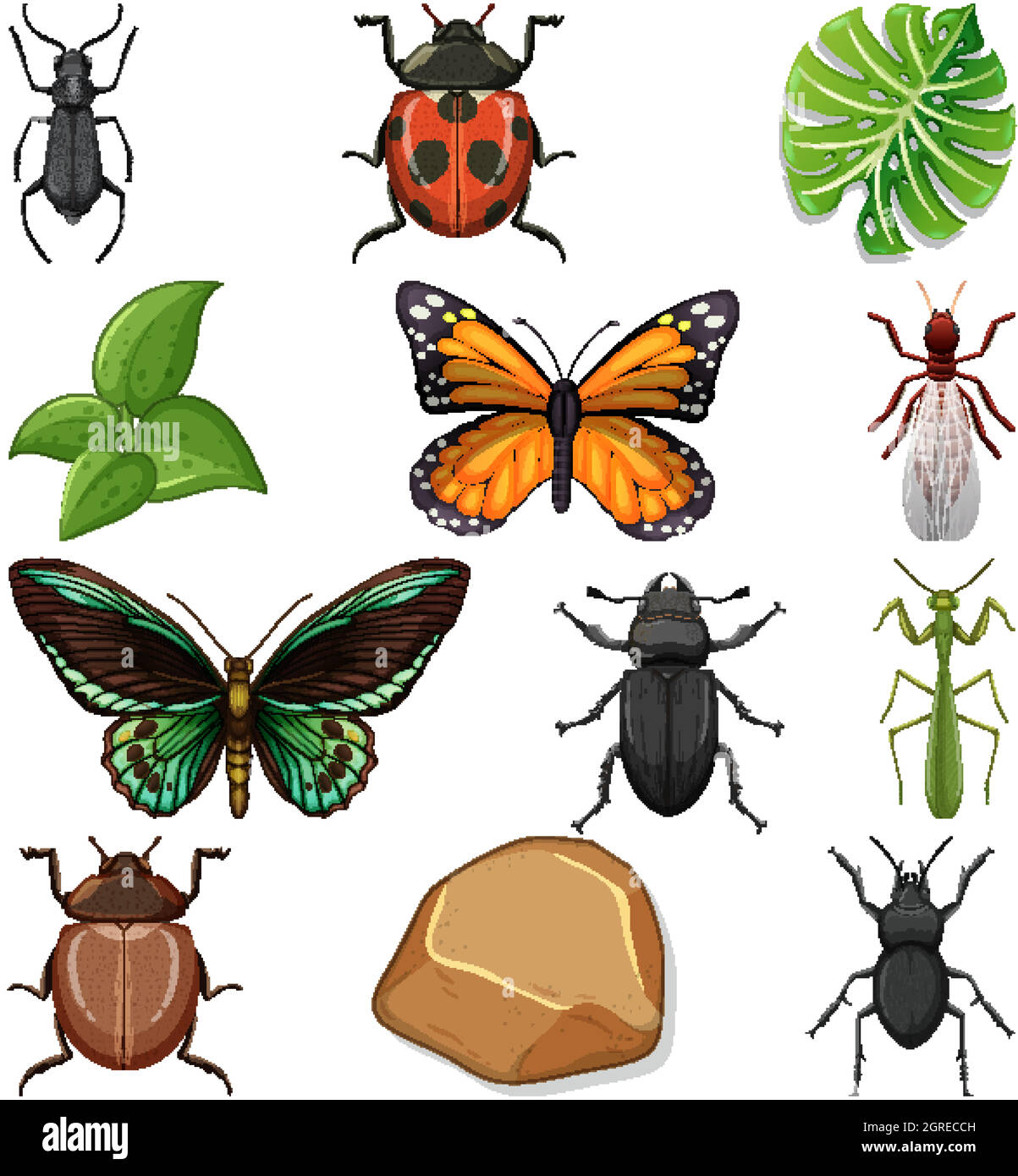 Different types of insect with nature elements Stock Vector Image & Art ...