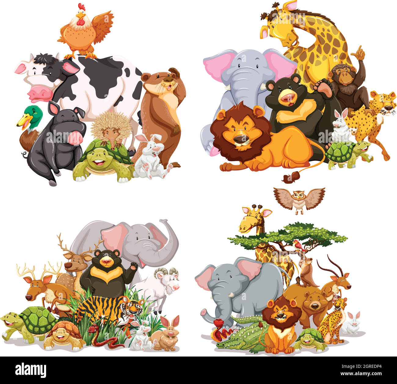 Four groups of wild animals Stock Vector Image & Art - Alamy