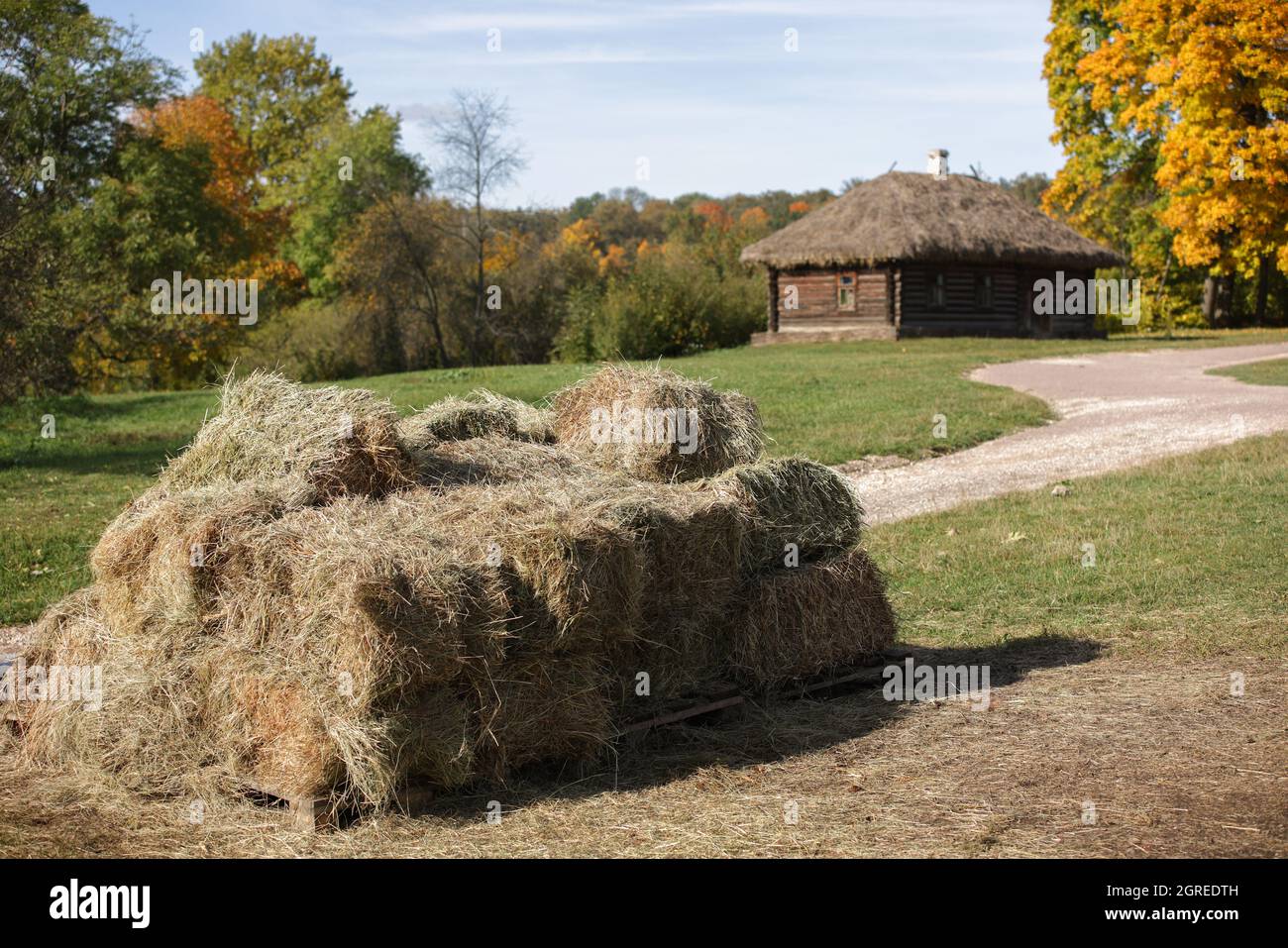 Pile Of Hay High Resolution Stock Photography and Images - Alamy