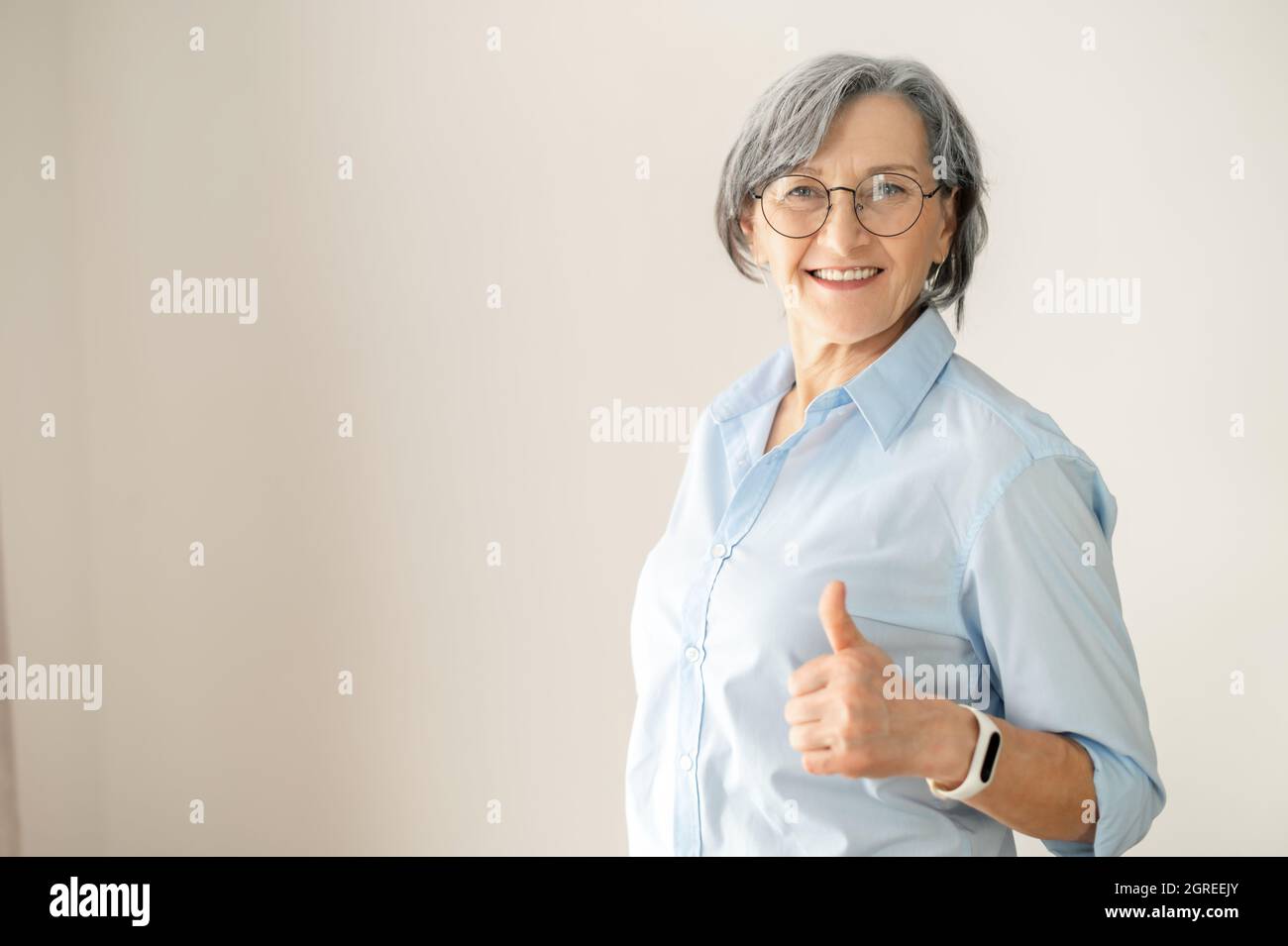 Senior mature gray-haired female professional office worker portrait ...