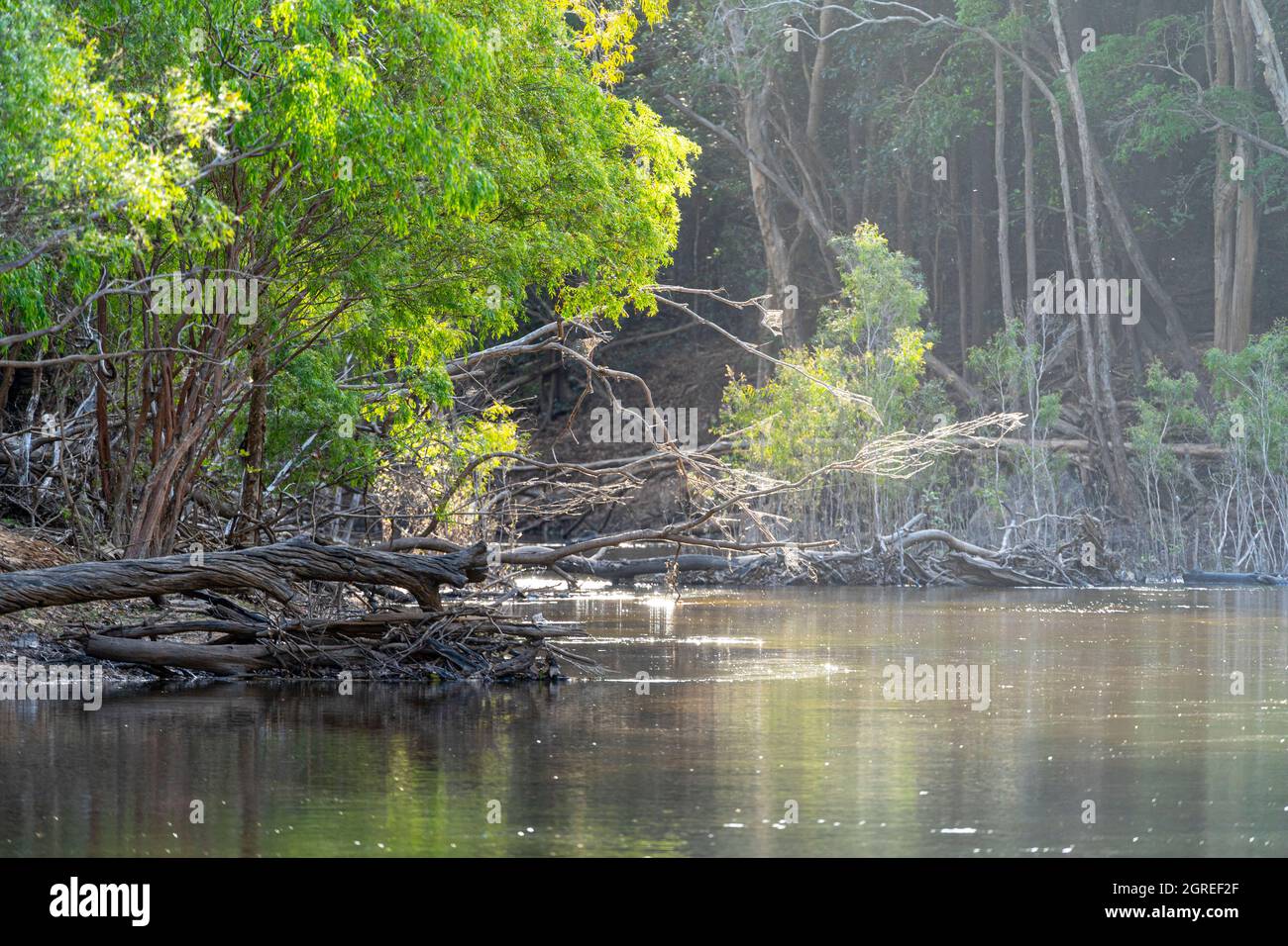 Much wenlock historical hi-res stock photography and images - Alamy