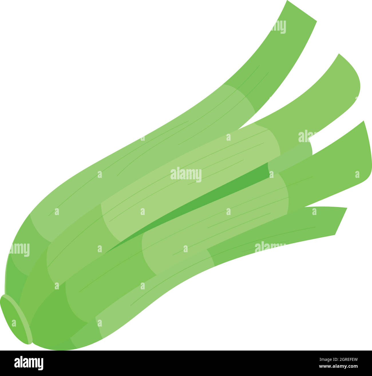 Celery plant Stock Vector Images - Alamy