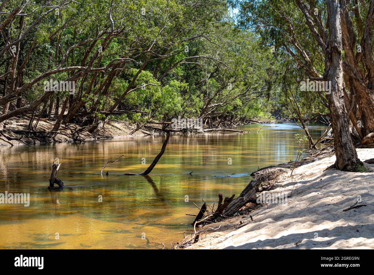 Wenlock River at Moreton Telegraph Station in dry season, Cape York ...